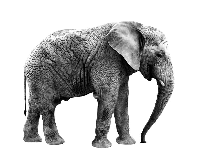 Google Cloud SQL for PostgreSQL 13 Google Cloud SQL for PostgreSQL 13